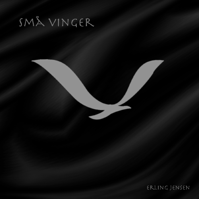 Små vinger